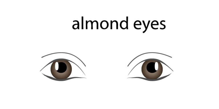 8 Types différents de Formes d'yeux | TJMBB