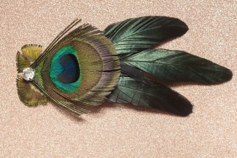 14 Different Types of Hair Clips – Headcurve